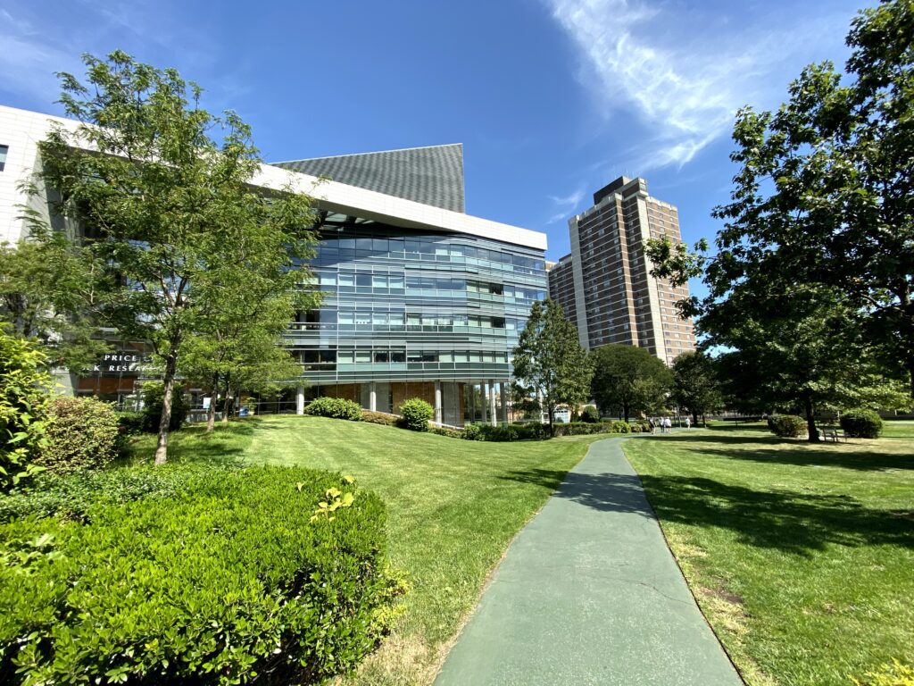 Albert Einstein College of Medicine – Mymedschool.Org
