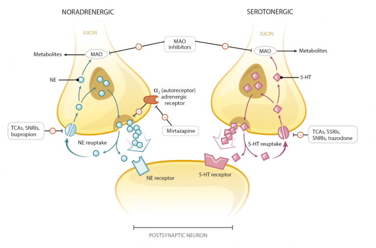 mymedschool.orgAntidepressants