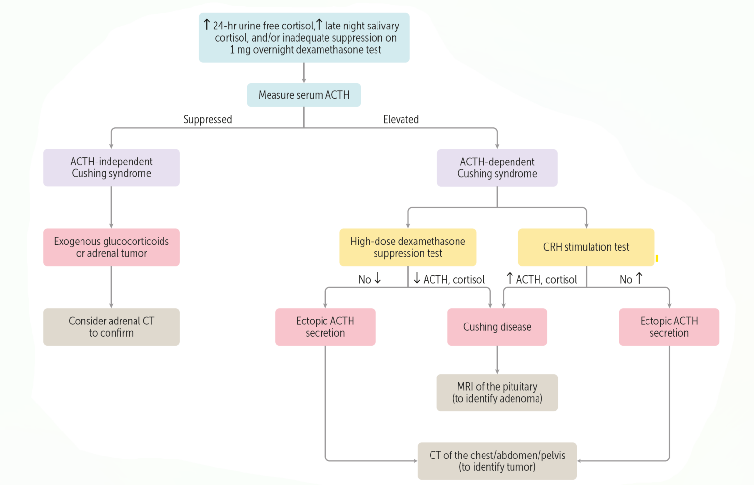 mymedschool.orgCushing syndrome